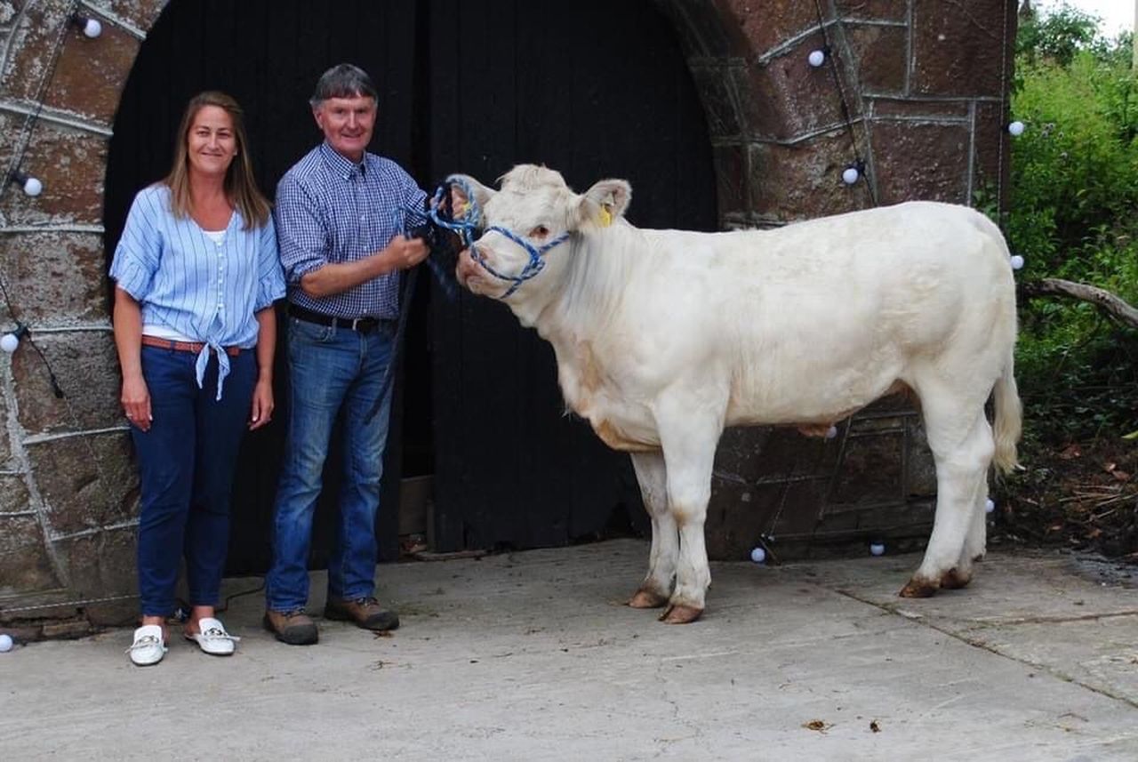 Presentation of the Heifer Prize to the winner | South East Clare Show ...